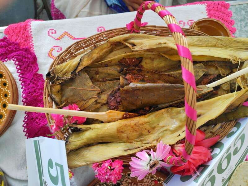 Santiago de Anaya, Hidalgo: Food tour. Experience among stoves. - Key Points