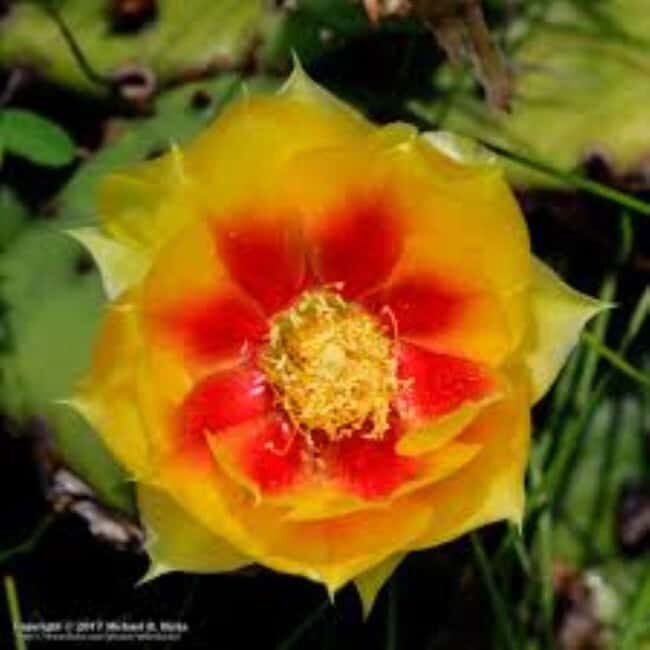 Santo Domingo: 3 Eyes Park & Botanical Garden Tour - Practical Details and What to Expect