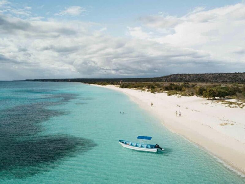 Santo Domingo: Bahía de las Águilas Private Day Trip - A Closer Look at the Itinerary and Highlights