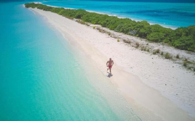 Santo Domingo: Bahía de las Águilas Private Day Trip - The Sum Up