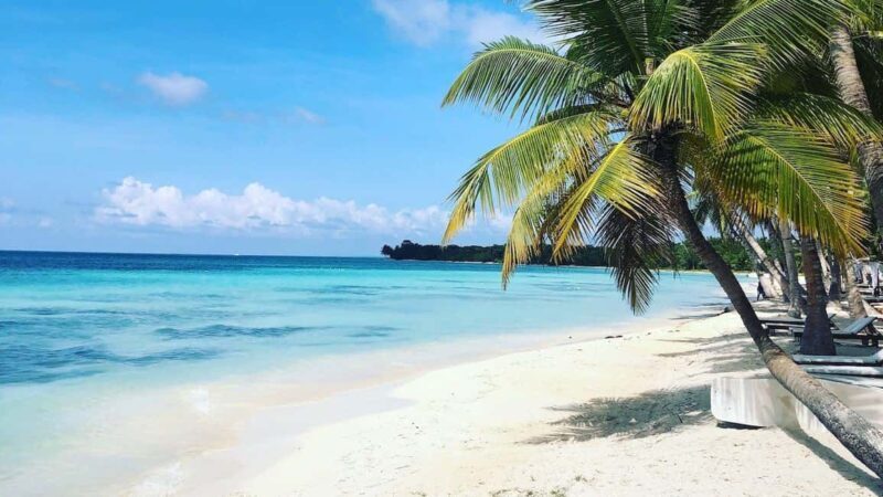 Santo Domingo: Catamaran to Saona An Unforgettable Journey - Authentic Traveler Feedback