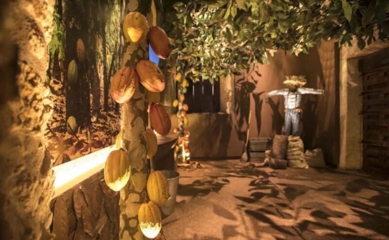 Santo Domingo: Chocolate Tour + Optional Workshops - What Travelers Are Saying