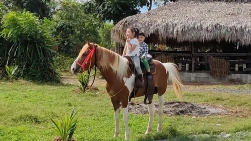 Santo Domingo: Horseback Riding - Round Trip Transportation - Key Points