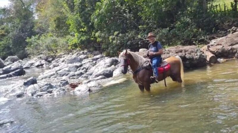 Santo Domingo: Horseback Riding - Round Trip Transportation - The Itinerary Breakdown: What to Expect