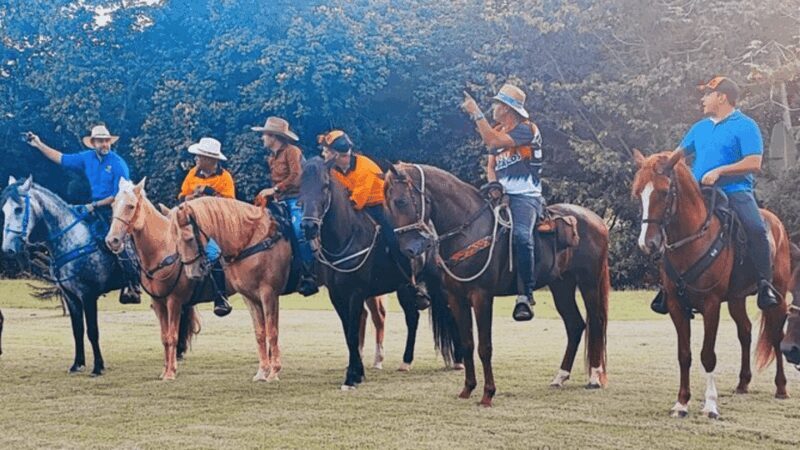 Santo Domingo: Horseback Riding - Round Trip Transportation - Final Thoughts: Is It Worth It?