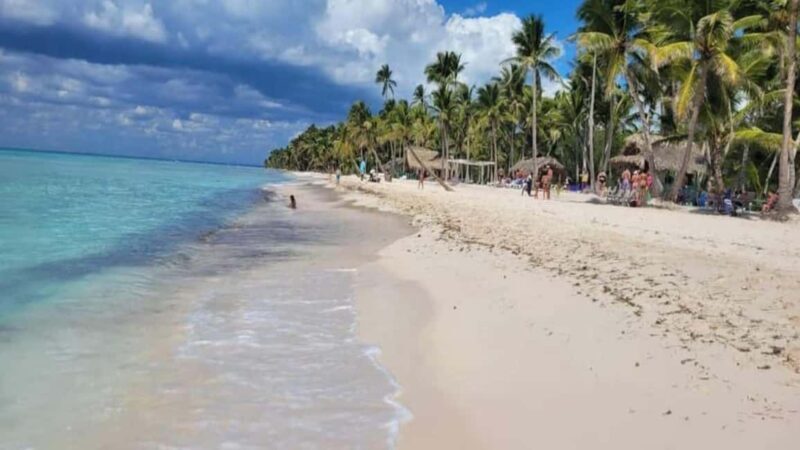 Santo Domingo: Isla Saona Day Trip with Lunch & Drinks - Frequently Asked Questions