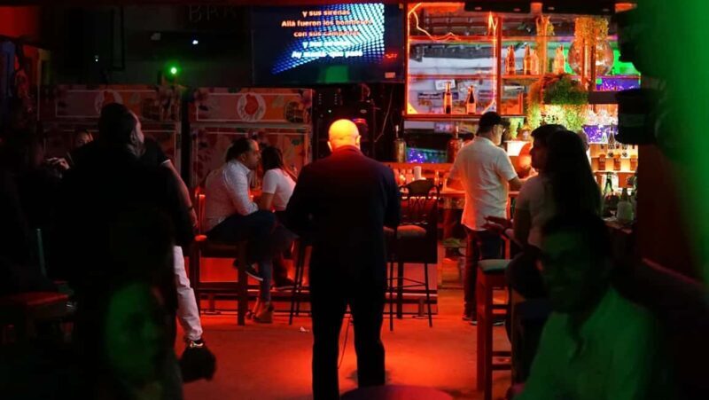 Santo Domingo: Los Mina, The Flea, Juan Dolio & Karaoke Tour - Who Should Consider This Tour?