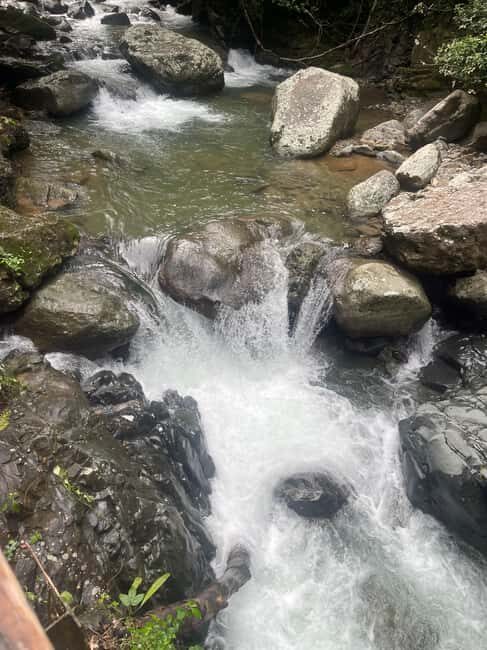 Santo Domingo: Paradisiac Waterfall & Lunch Cooked Over Wood - Practical Details and What To Bring
