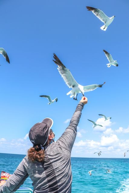 Santo Domingo: Saona Island Cataraman Food And Drink - The Sum Up