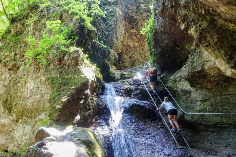 Santo Domingo: Tabernacle Falls Hike with Breakfast & Lunch - What Past Travelers Say