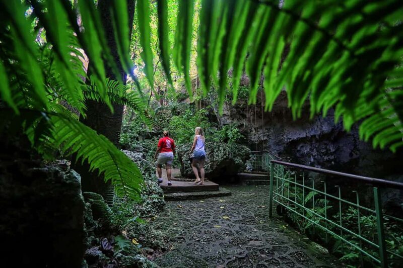 Santo Domingo: Three Eyes National Park Guided Tour - An In-Depth Look at the Underground Experience