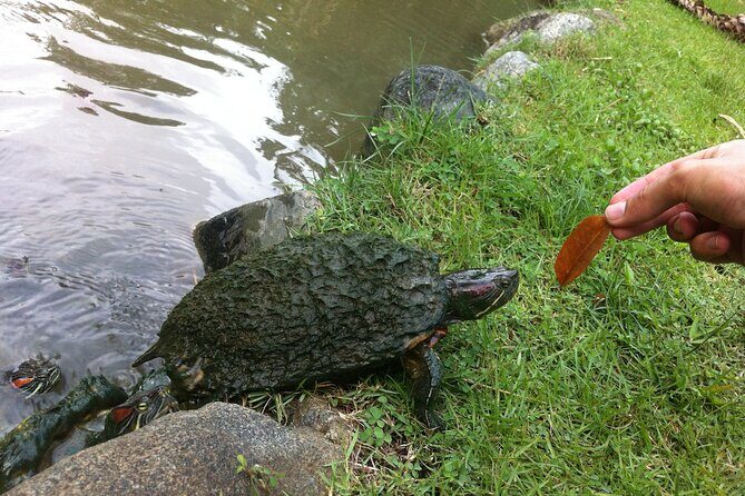 Santo Domingos Natural Treasures - A Deep Dive into the Tour Experience