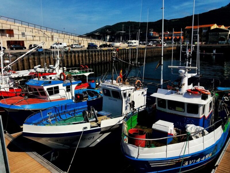 Santoña: Anchovy Factory Tour and Boat Trip - An Honest Look at the Santoña: Anchovy Factory Tour and Boat Trip