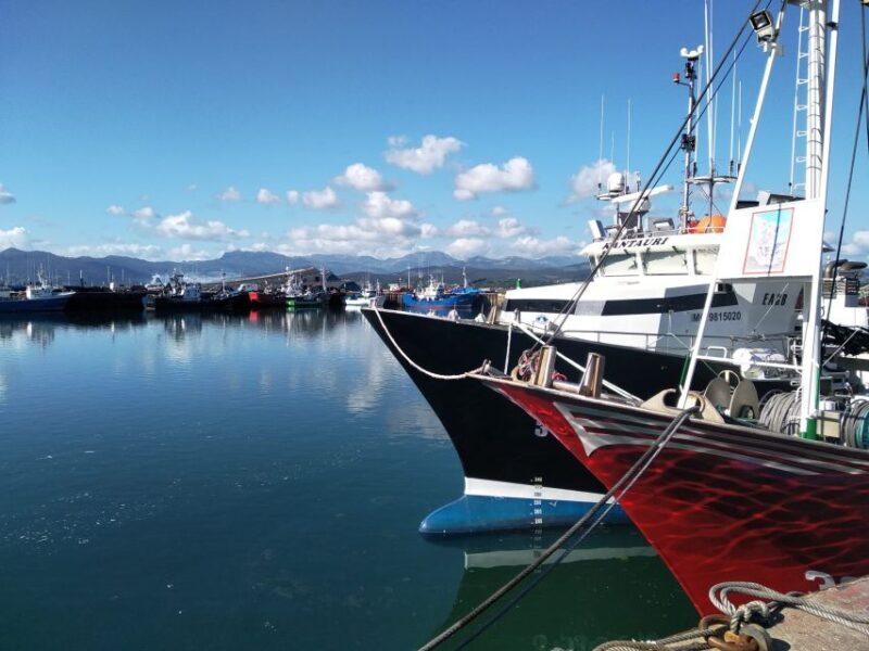Santona: Urban and Marine Visit - An Authentic Taste of Santoña’s Coastal Life