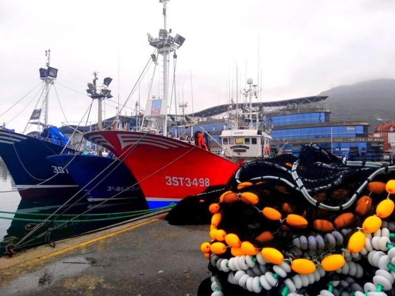 Santona: Urban and Marine Visit - Practical Considerations: Value and Logistics
