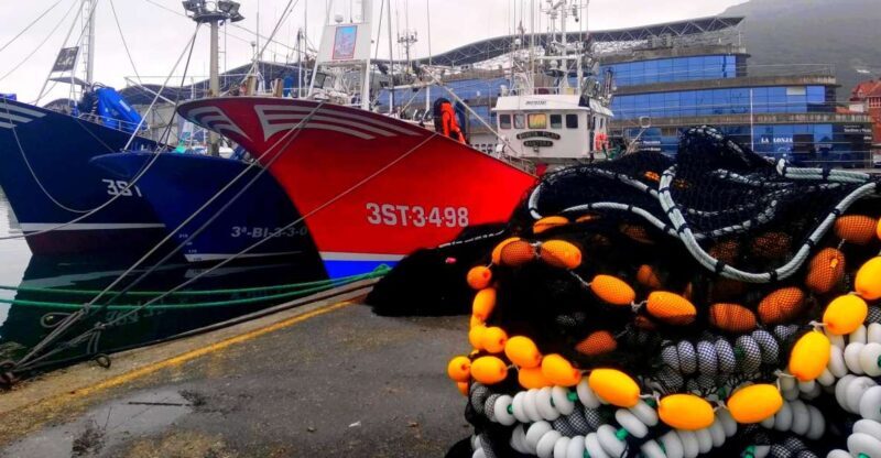 Santona: Urban and Marine Visit - Final Thoughts: The Value of a Local Perspective