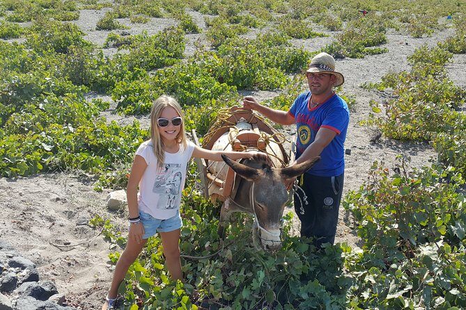 Santorini: 4hr Private Wine Tasting Tour - Final Thoughts