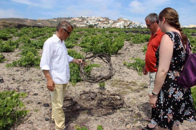 Santorini: 5-Hour Private Wine Tour - Analyzing Cost and Value
