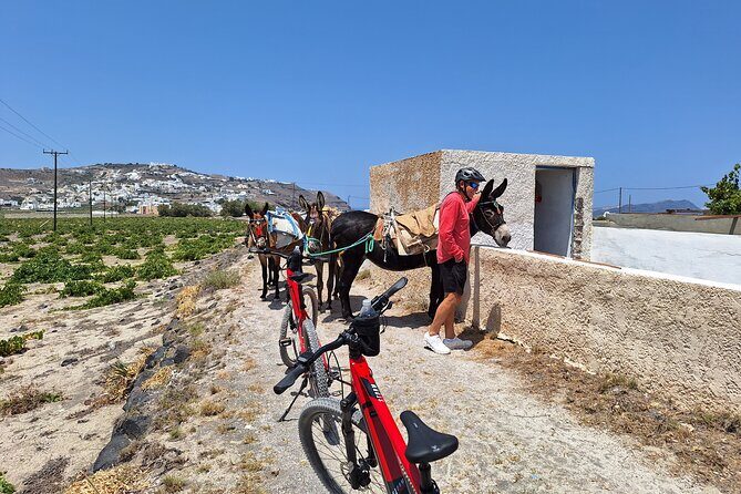 Santorini: E-bike tour experience - FAQs