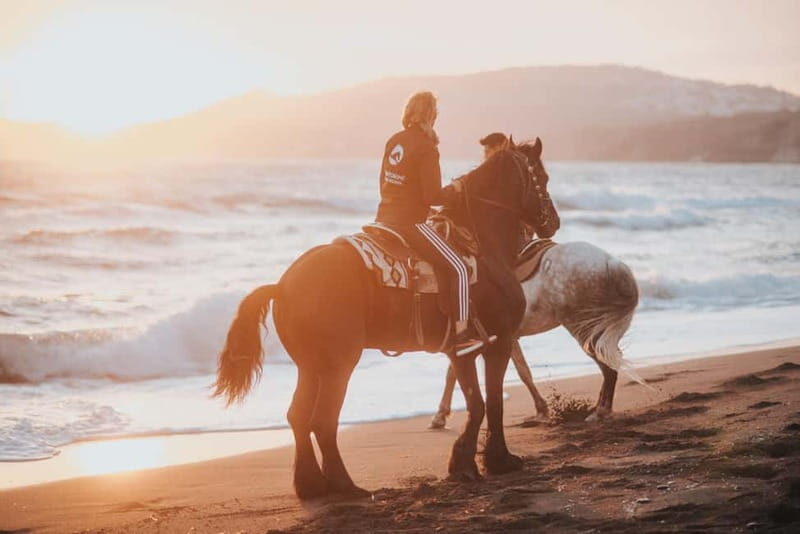 Santorini: Extreme Horse Safari - Key Points