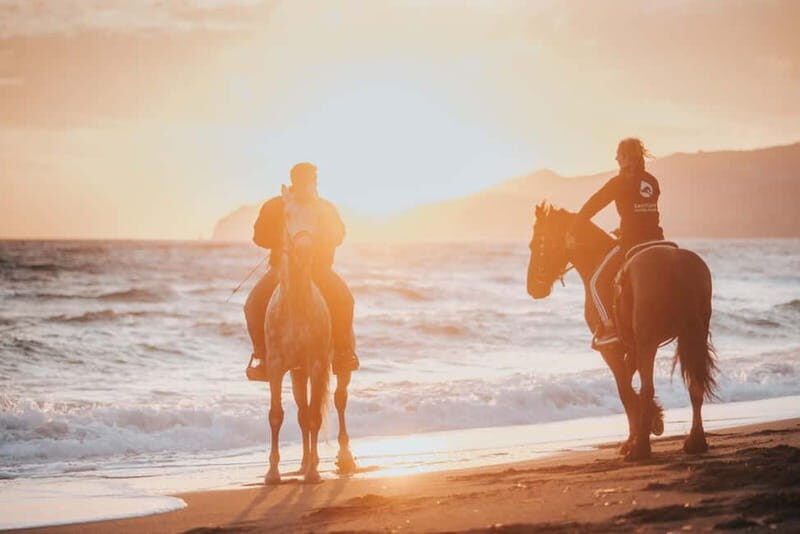 Santorini: Extreme Horse Safari - Who Will Love This Tour?