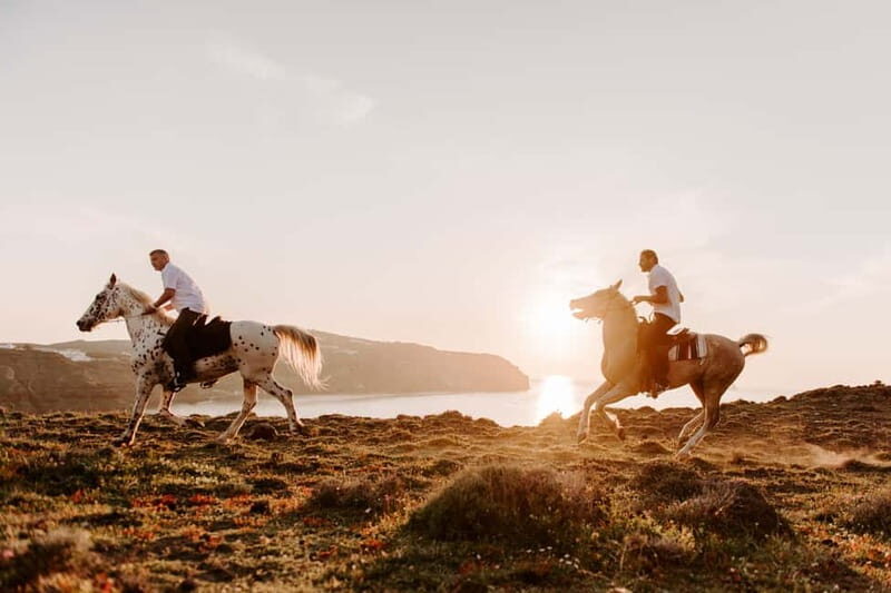 Santorini: Extreme Horse Safari - Price, Value, and Overall Experience