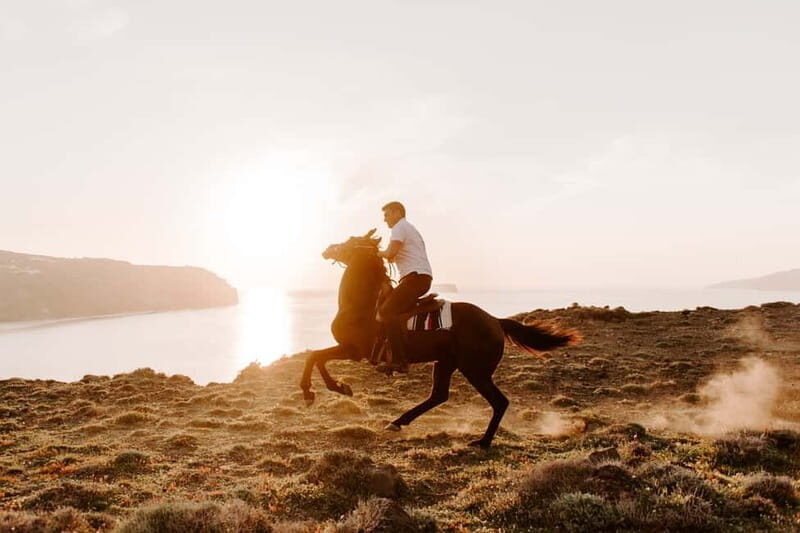 Santorini: Extreme Horse Safari - FAQ