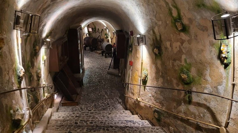 Santorini: Family Island Tour with Winery Museum Experience - The Winery and Museum