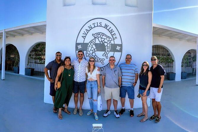 Santorini Half Day Wine Tasting & Winery Tour with Pickup - Key Points