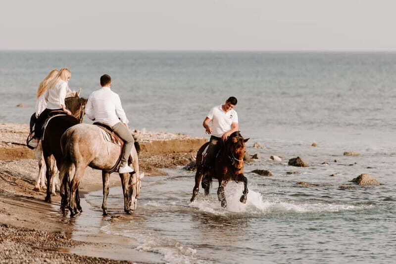 Santorini: Horseback Riding on the Black Sandy Eros Beach - The Sum Up: Who Will Love This Tour?