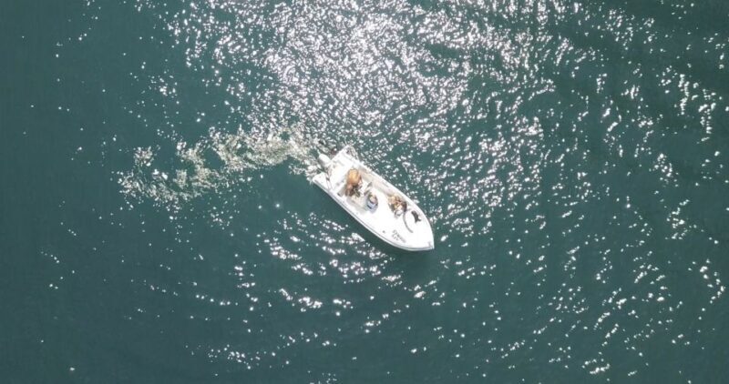 Santorini: License-Free Boat Rental with Snorkeling Gear - Why Choose a License-Free Boat Rental in Santorini?