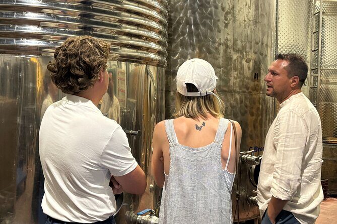 Santorini Mini Wine Tasting Tour at 2 Wineries - Why This Tour Could Be a Great Match