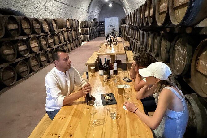 Santorini Mini Wine Tasting Tour at 2 Wineries - Who Will Love This Tour?