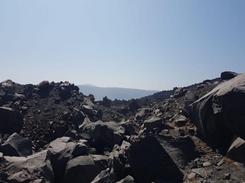 Santorini Port: Cruise to Volcano, Hot Springs & Thirassia - Who Should Book This Tour?