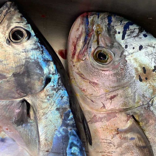 Santorini: Private Morning Deep Sea Fishing Boat Trip - Who This Tour Is Best For