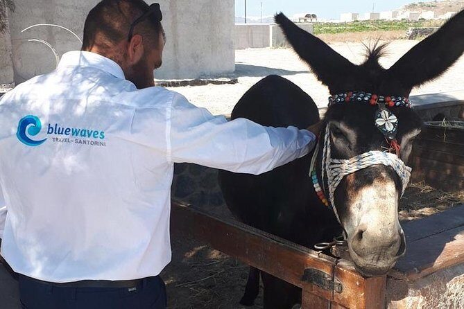 Santorini Private Tour 3hours-Wine and local product tasting - A Closer Look: What to Expect from the Santorini Private Tour