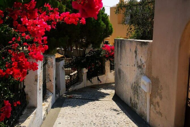 Santorini Private Tour Highlights 6h for Groups and Families - FAQ