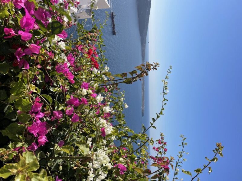 Santorini: Private Tour of the Famous Blue Domes and Caldera - An In-Depth Look at the Tour Experience