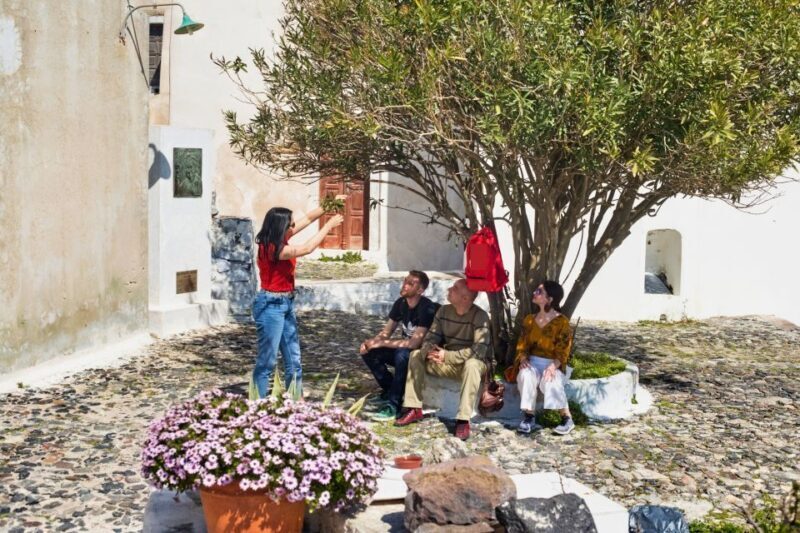 Santorini: Private Vistas Morning Hike inc. tastings - A Detailed Look at the Santorini Private Vistas Morning Hike