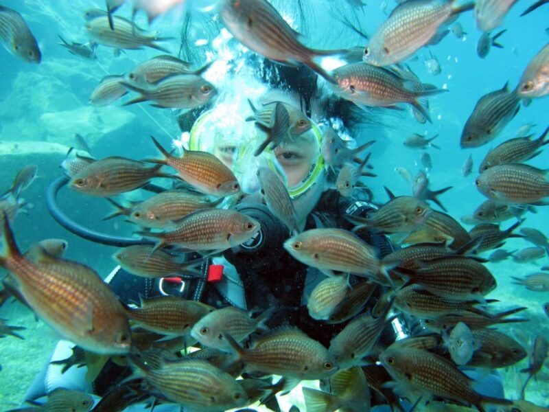 Santorini: Scuba Diving Experience for Beginners - What Makes This Tour Stand Out