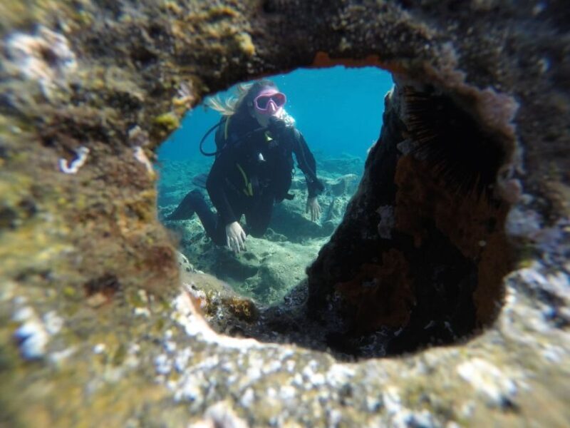 Santorini: Scuba Diving Experience in Caldera for Beginners - The Value: How Good Is the Price?
