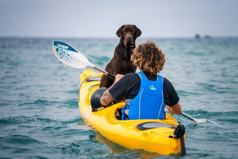 Santorini: Sea Caves Kayak Trip with Snorkeling and Picnic - The Sum Up