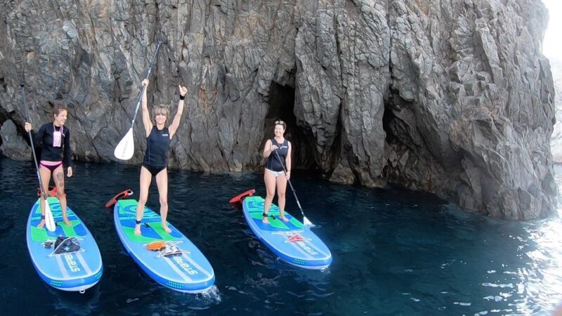 Santorini: Stand-Up Paddle and Snorkel Adventure - Introduction
