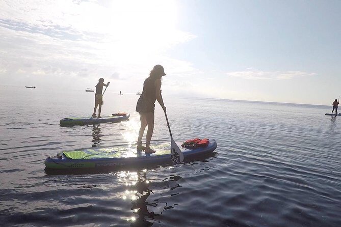 Santorini Stand-Up Paddle and Snorkel Adventure - Key Points