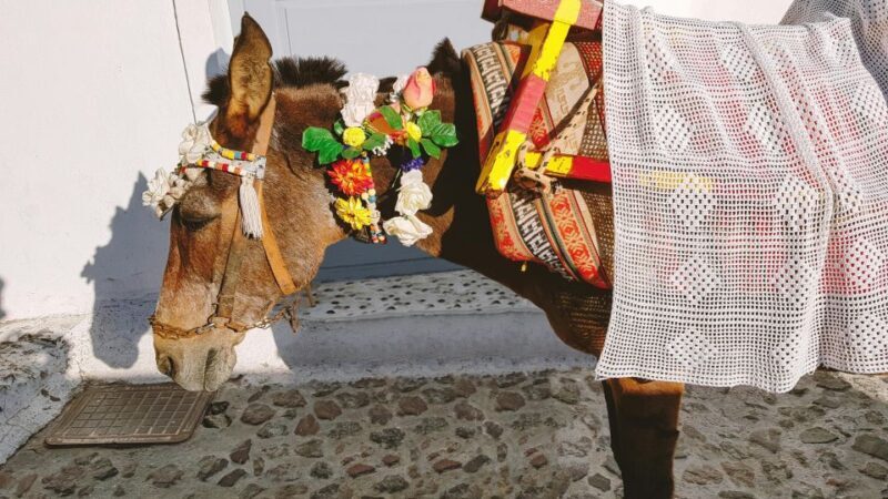 Santorini Tour : Oia, Black Beach, and Pyrgos Half-Day Tour - Stop 8: Black Beach of Perissa