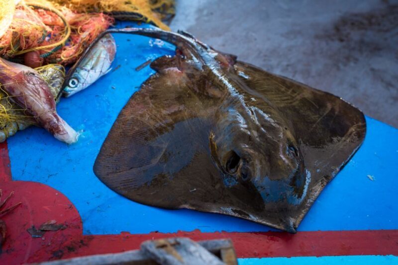 Santorini: Traditional Fishing Trip and Fresh Fish Lunch - What Makes This Santorini Fishing Trip Special?