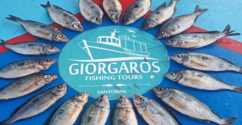 Santorini: Traditional Fishing Trip and Fresh Fish Lunch - FAQ – Practical Questions Answered