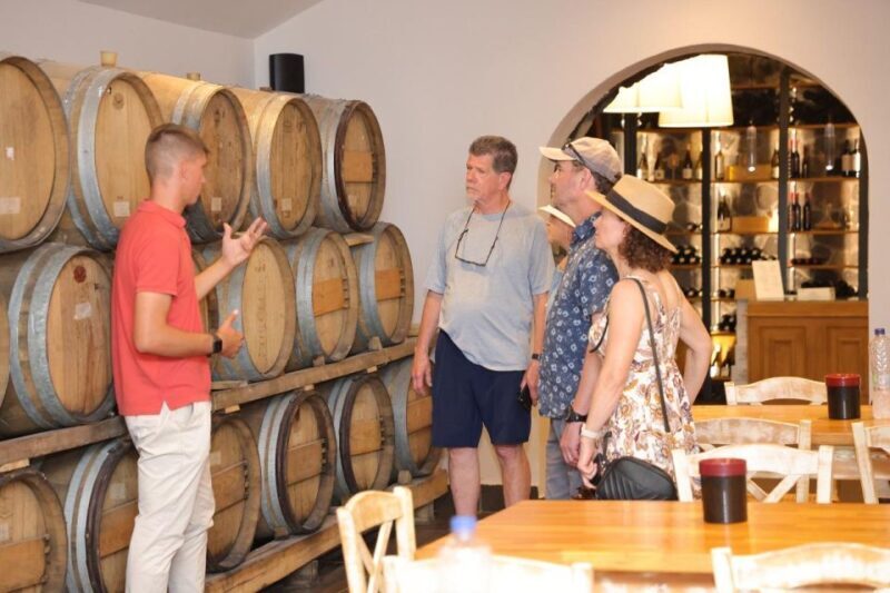 Santorini: Vineyard and Winery Tour with Cooking Class - Exploring Santorini’s Vineyard and Winery Tour with Cooking Class