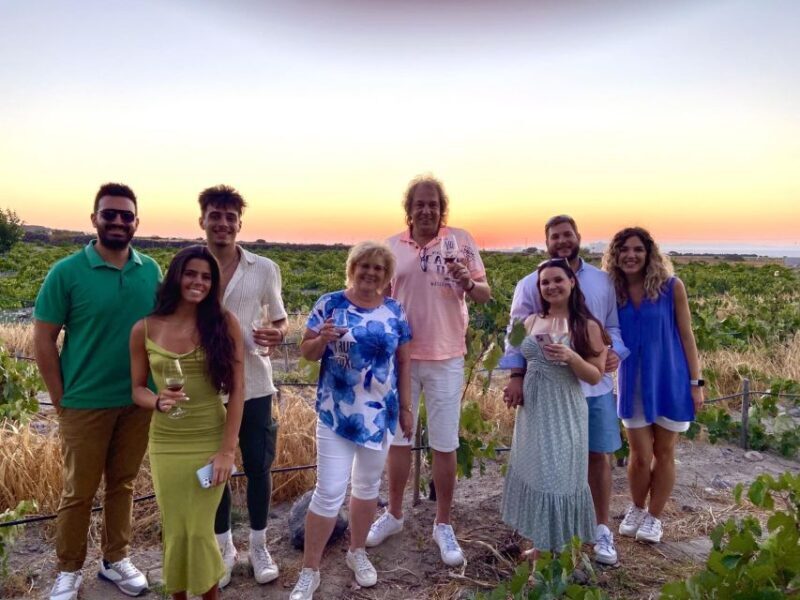 Santorini: Vineyard and Winery Tour with Cooking Class - Authenticity and Genuine Experience