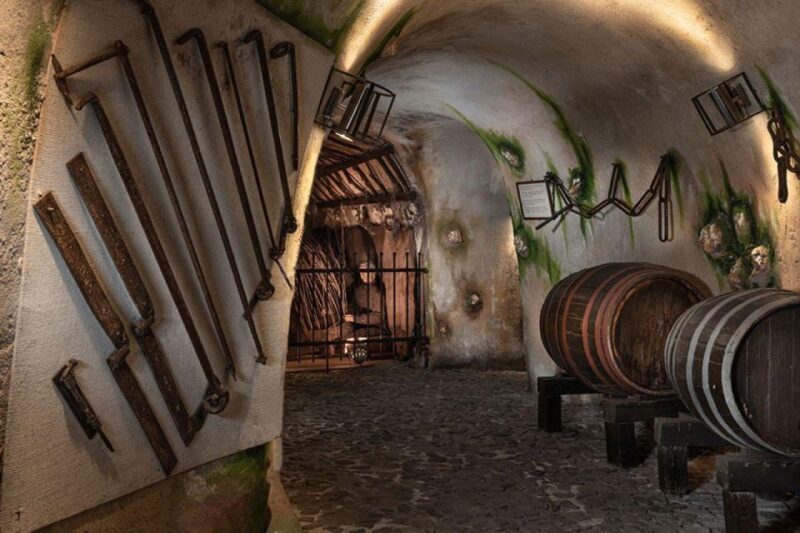 Santorini Visit Cave Wine museum and Wine tasting - Who Should Consider This Tour?
